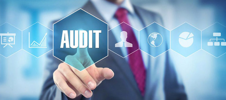 Digitalisation d’audit commercial : pratique et efficace